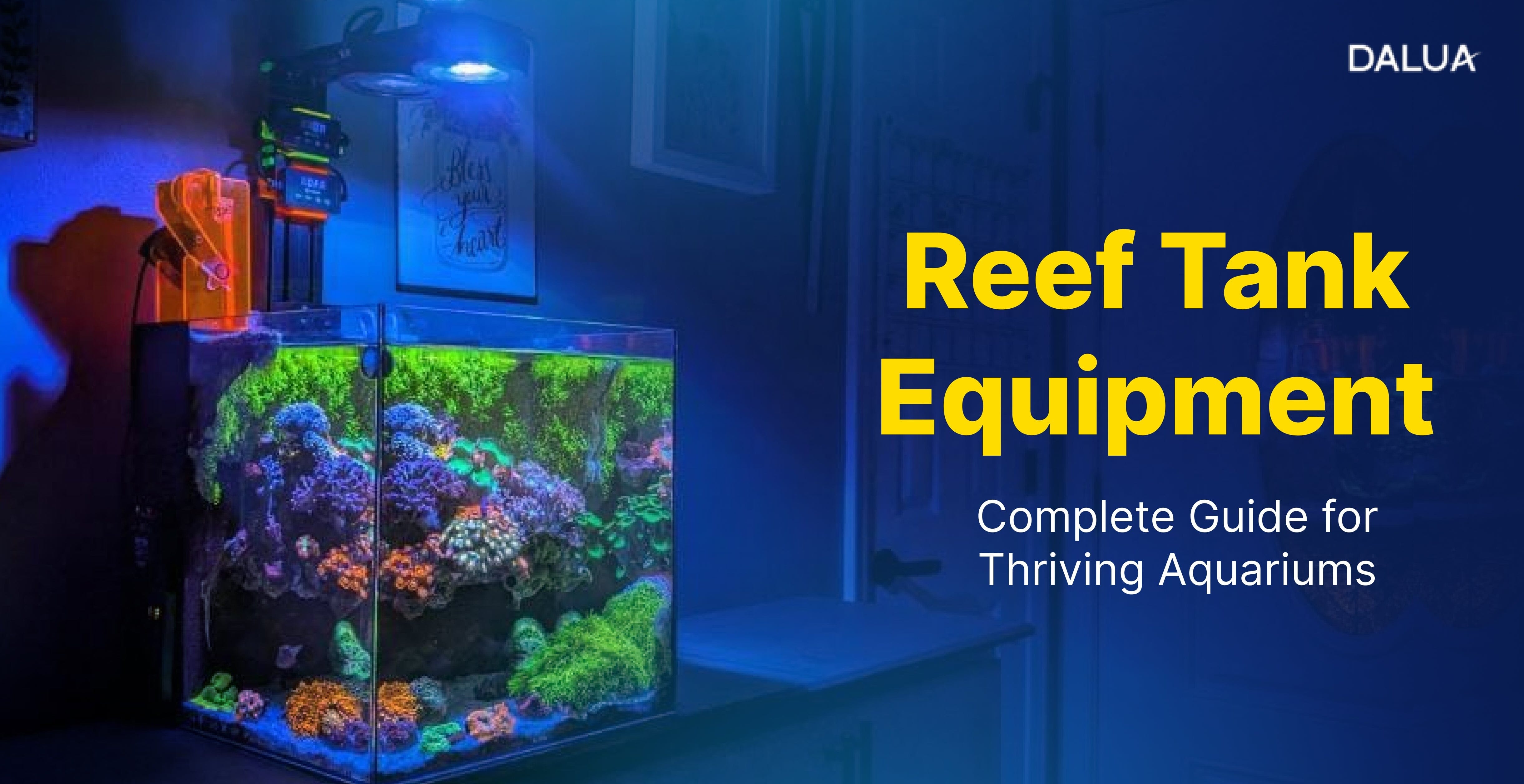 Best Reef Tank Equipment: A Complete Guide for Thriving Aquariums ...