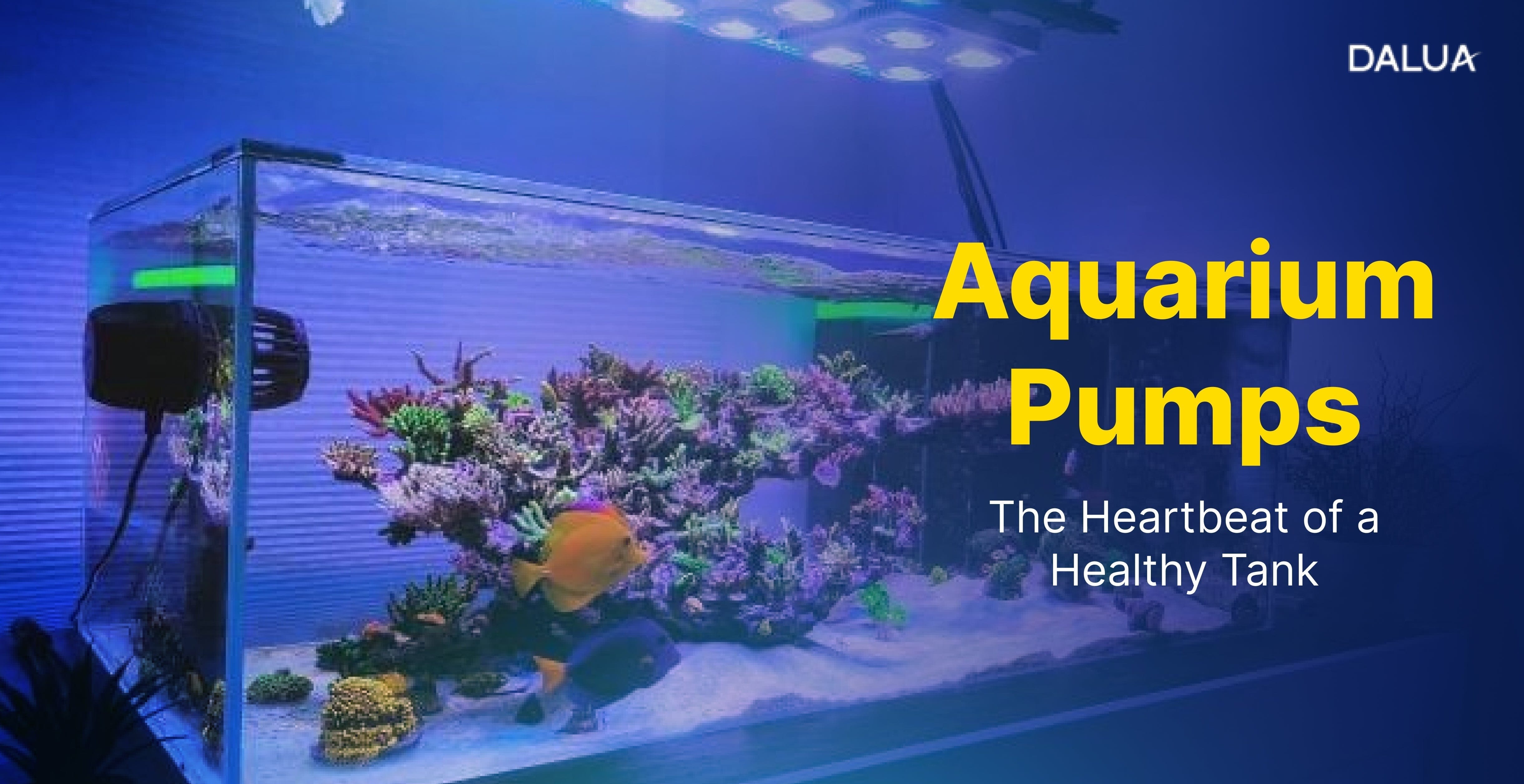 Aquarium Pumps: Keep Your Tank Healthy with Dalua International LLC