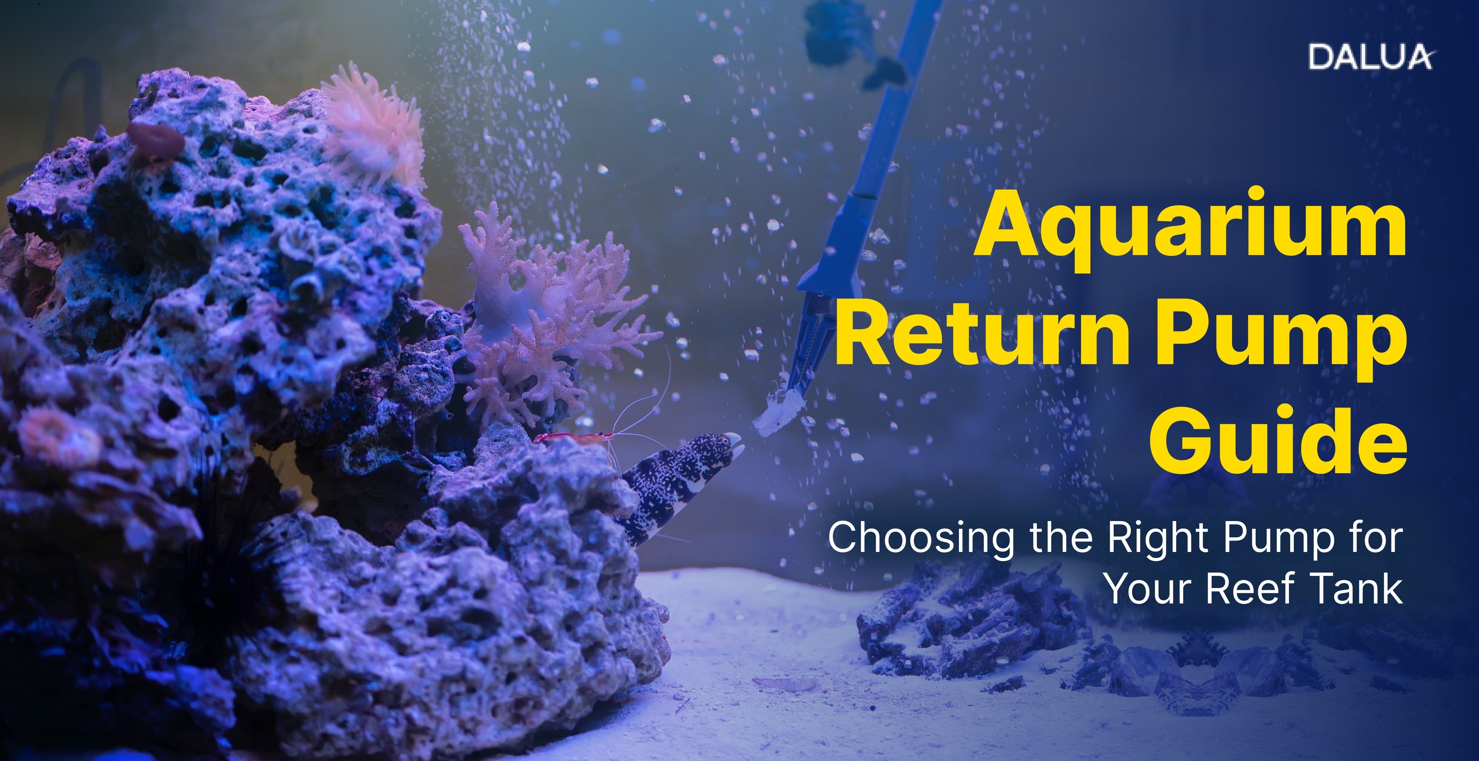 Aquarium Return Pump Guide: Choosing the Right Pump for Your Reef Tank ...