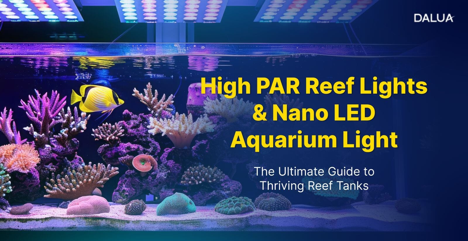 High PAR Reef Lights for Coral Growth | Dalua International LLC