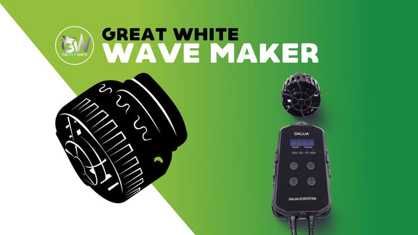 Great White Wave Maker Unboxing – Dalua International LLC