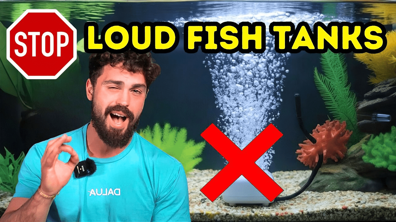 How to Reduce Fish Tank Noise: Simple Fixes for a Silent Aquarium ...