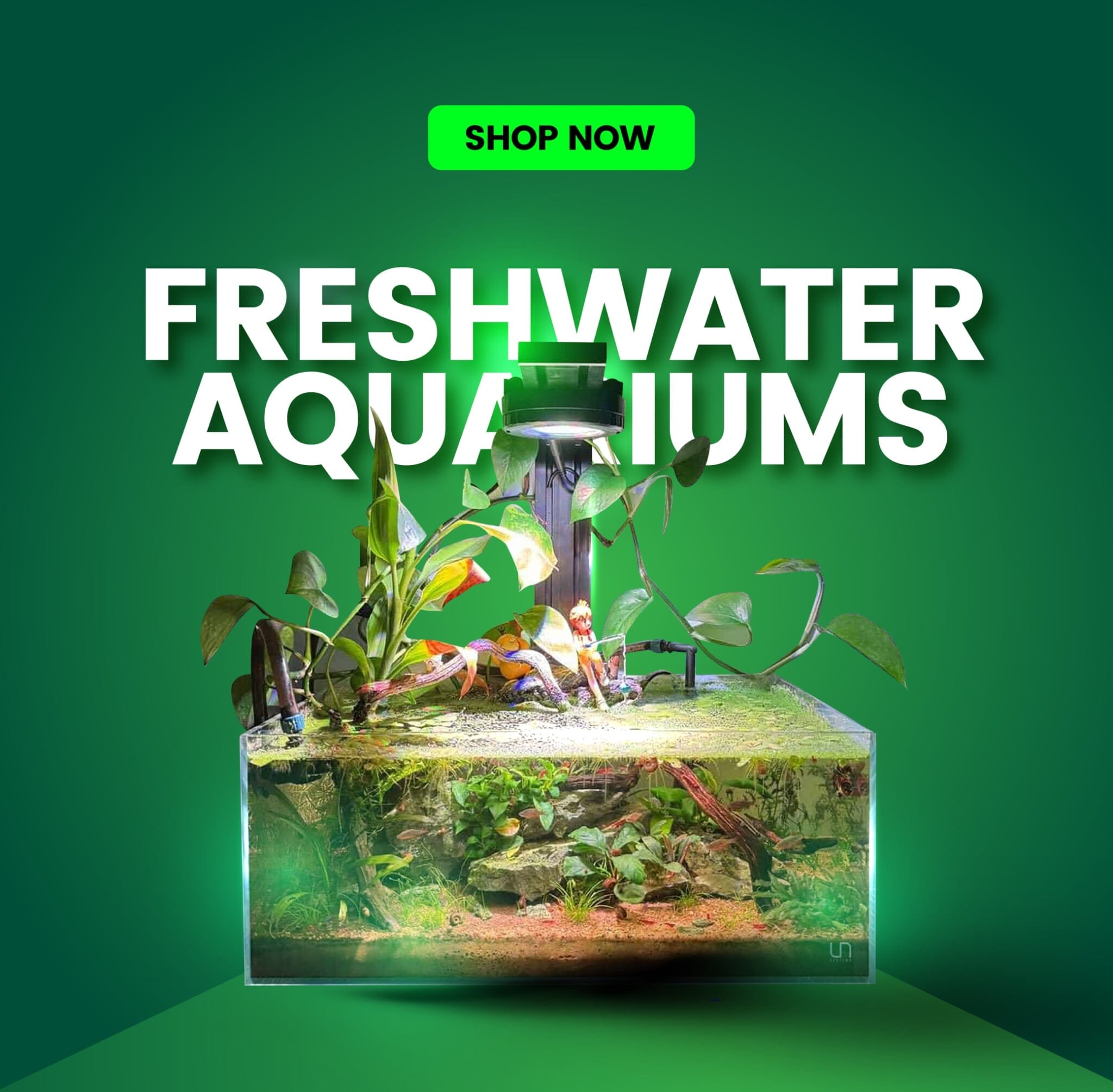 Aquascaping Best Sellers – Dalua International LLC