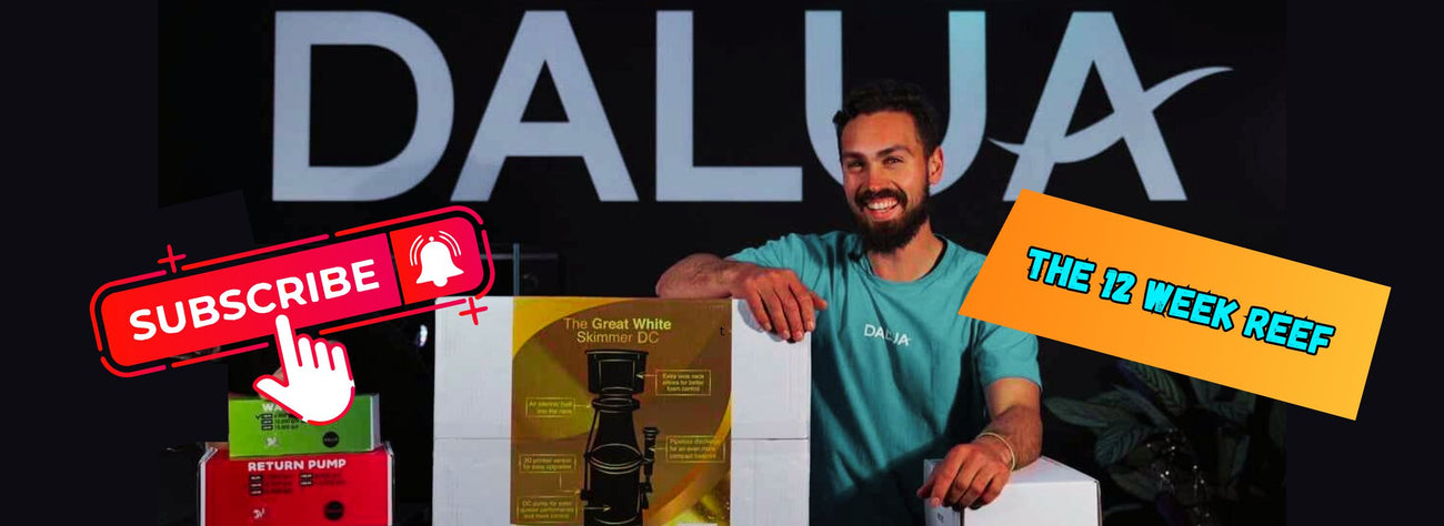 Dalua.com - Aquariums Made Fun – Dalua International LLC