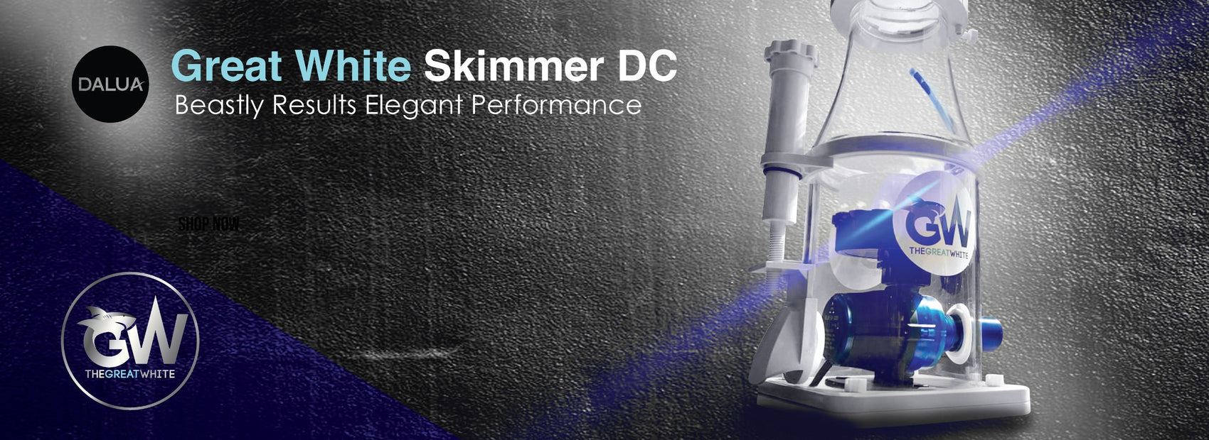 Dalua.com - Aquariums Made Fun – Dalua International LLC