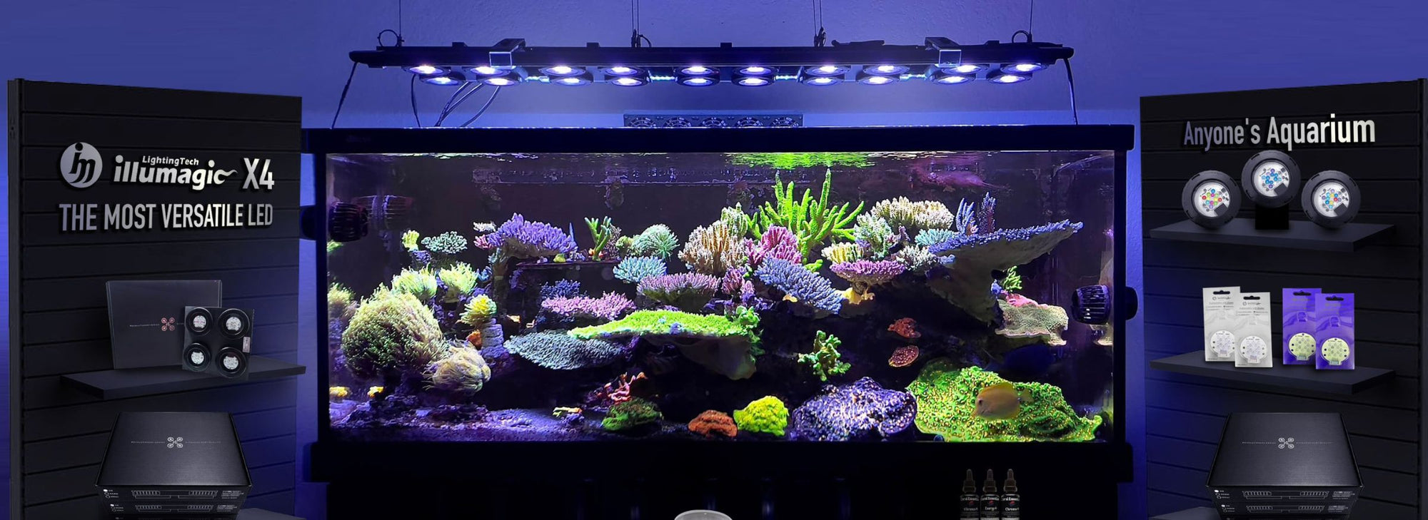 Dalua.com - Home of the 12 week reef – Dalua International LLC