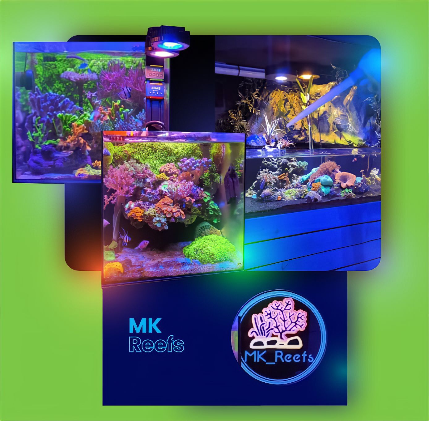 MK Reefs Products Of Choice – Dalua International LLC